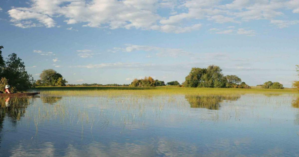 Botswanan safari | Olympia Kaukomatkat
